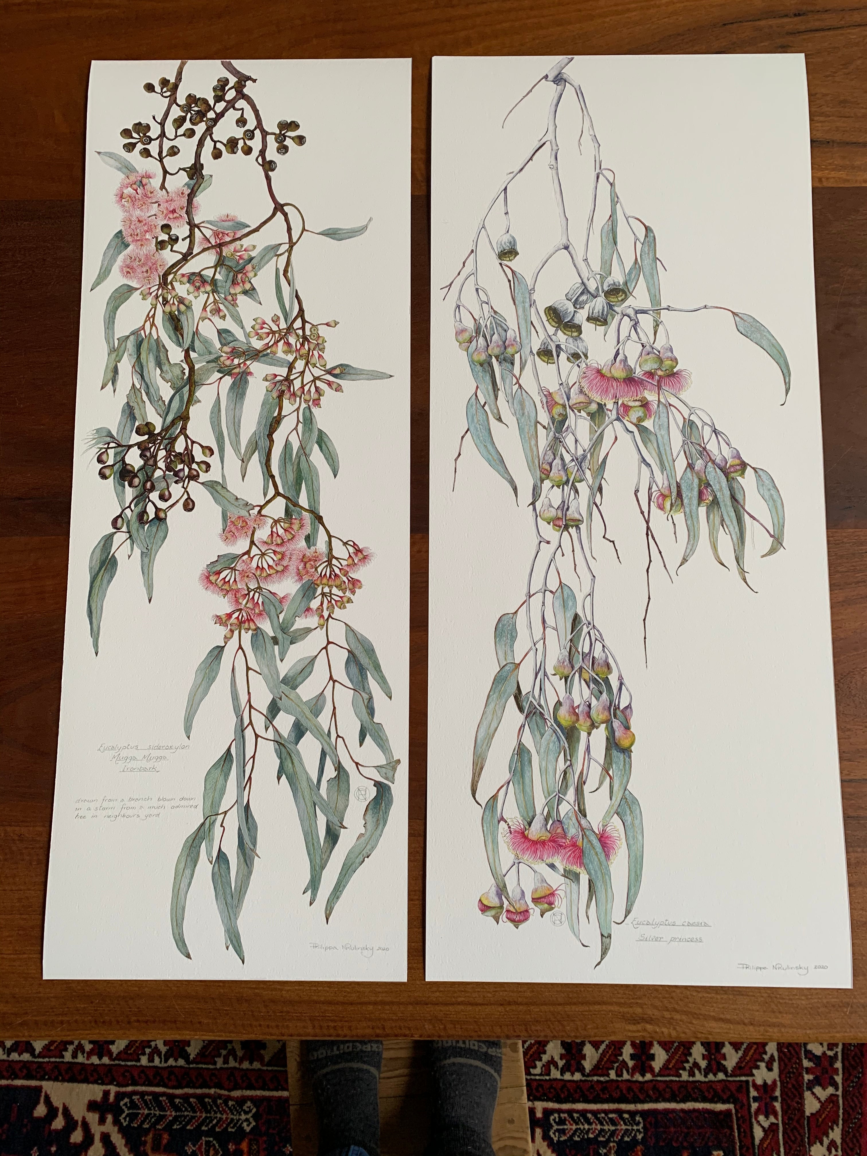 Collections – Philippa Nikulinsky