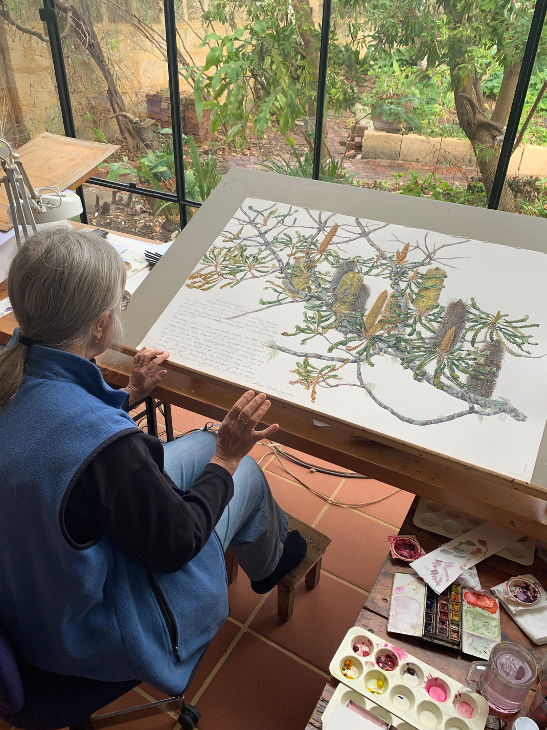 Philippa Nikulinsky Australian Nature Artist