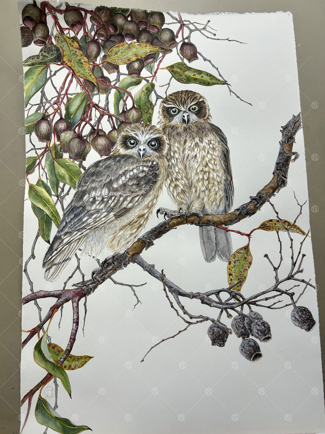 Animals / Birds – Philippa Nikulinsky