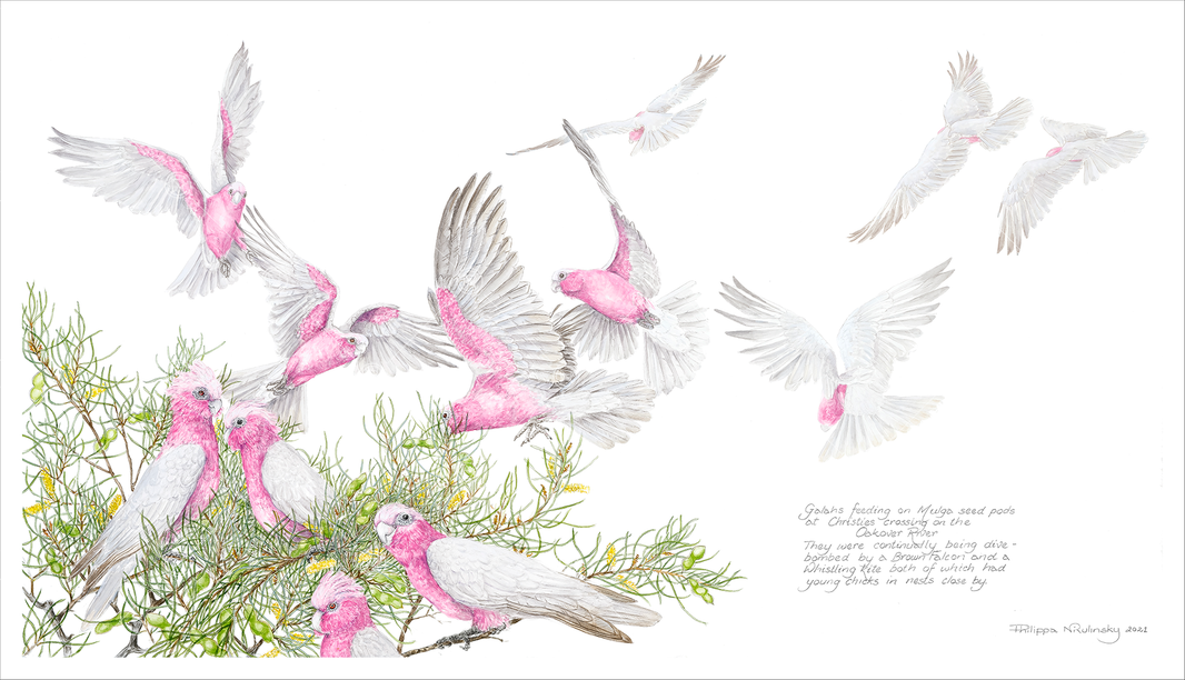 Animals / Birds – Philippa Nikulinsky