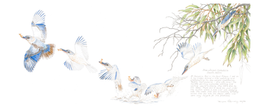 Animals / Birds – Philippa Nikulinsky