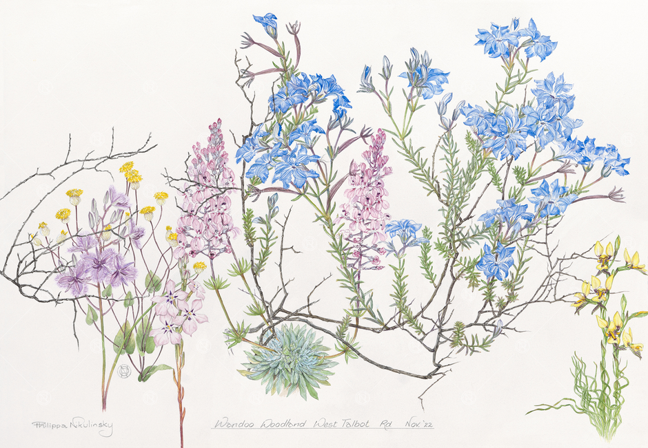 All Fine Art Reproductions – Page 3 – Philippa Nikulinsky