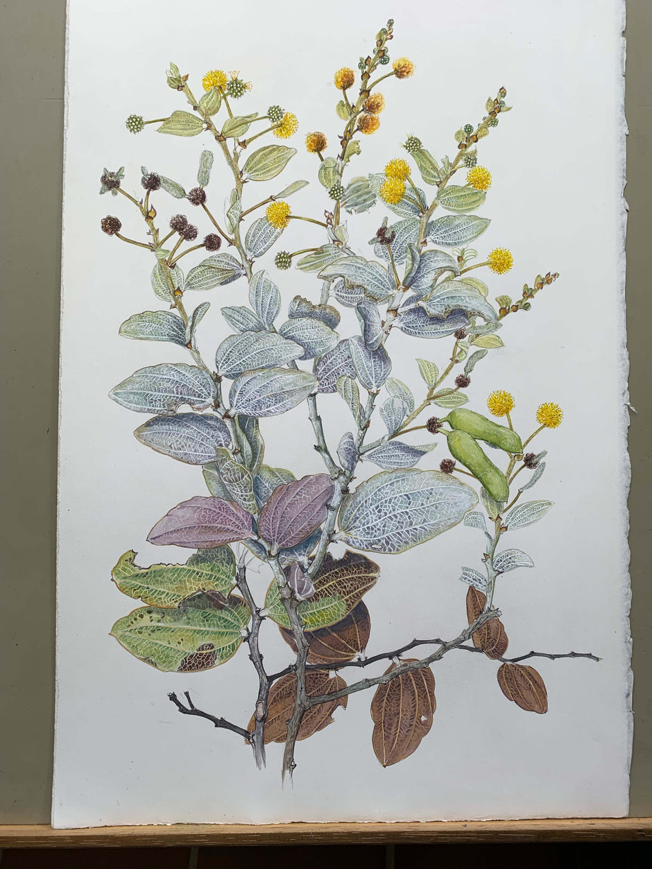 Products – Philippa Nikulinsky